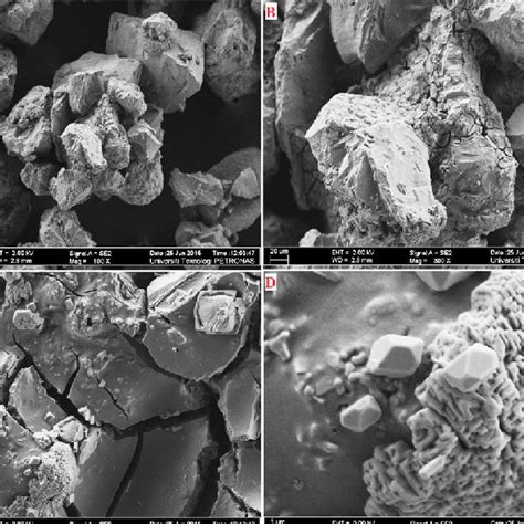 Model Of Quartz Dissolution And Al 3 Interaction With Quartz Download Scientific Diagram