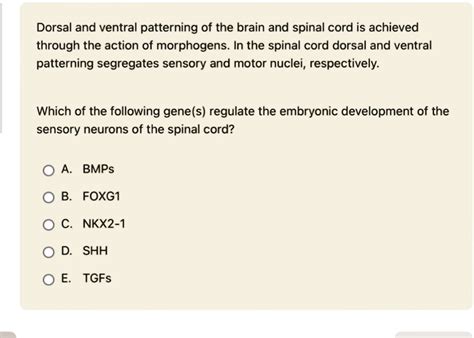Dorsal And Ventral Patterning Of The Brain And Spinal Cord Is Achieved