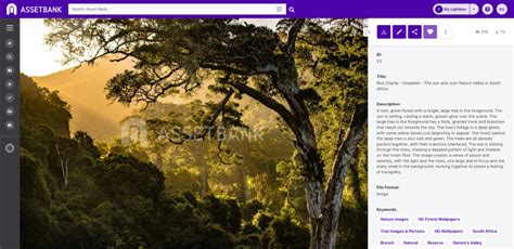New And Improved Asset Details Page Asset Bank Help Centre