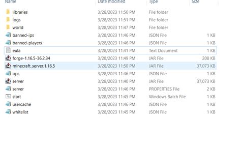 i am setting up a [java] forge 1 16 5 server when i run the forge file