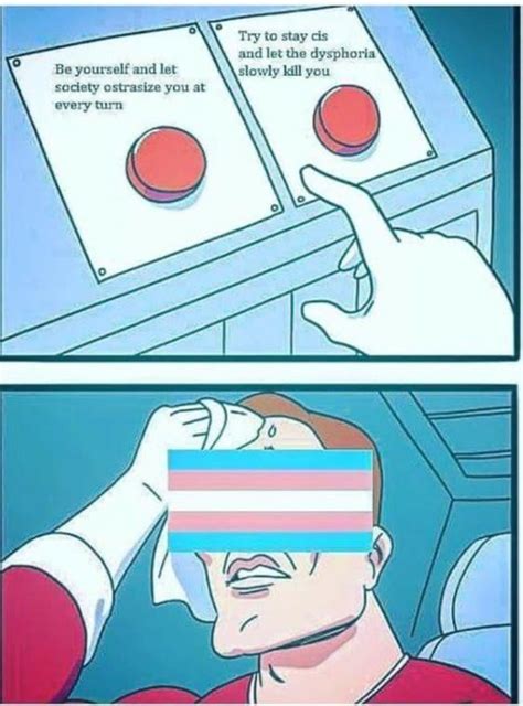 Trans Meme 1 Rtransfurrymemes