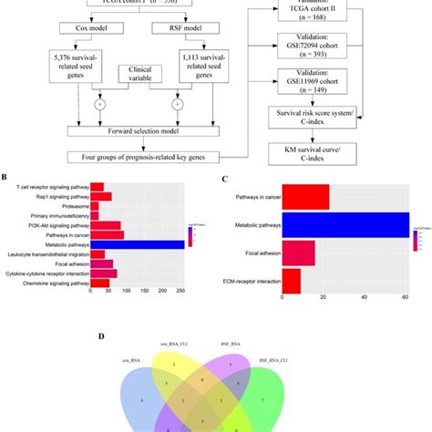 Identification Of Prognostic Gene Signature A Flowchart Of Rna Seq Download Scientific