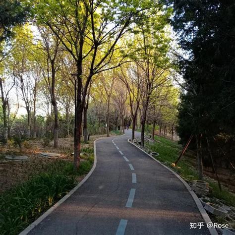 城市绿道 知乎