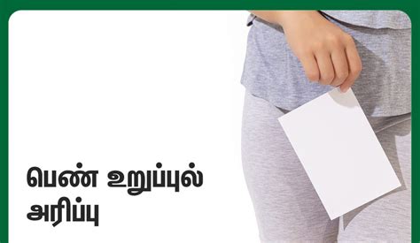 பெண் உறுப்பில் உண்டாகும் பிரச்சனைகள் என்னென்ன Vaginal Problems In Tamil Treatment Causes