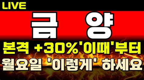 금양 주가전망 미노출 시외급락 유상증자정정 흔들리는건 심리뿐 트럼프 당선이 오히려 호재 세계최초 4695 개발한 기업 단 1주도 매도하면 안되는 명확한