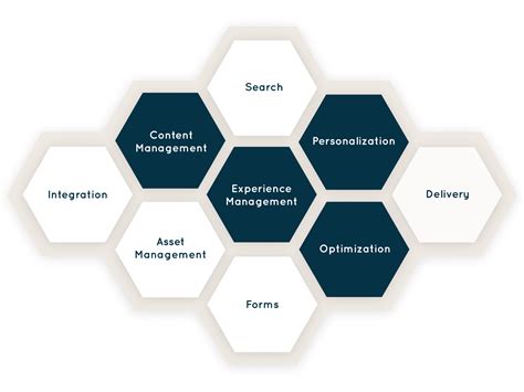 Content Management Squiz