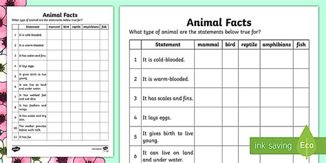 Animal Facts Classification Activity Teacher Made Twinkl
