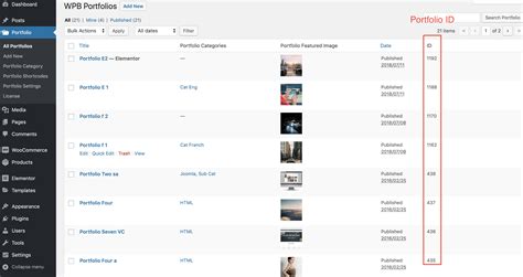 Showing A Portfolio Gallery WPBean Documentation