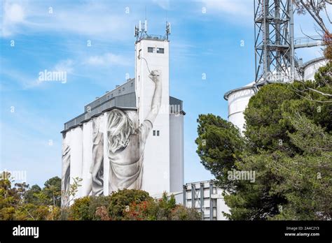 Coonalpyn Silo Art South Australia Stock Photo Alamy