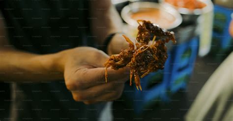 손에 음식 조각을 들고 있는 사람 사진 Unsplash의 가재 이미지