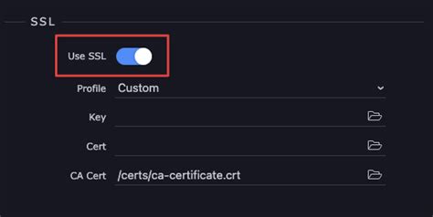 Dynamic Ssl For Db Connections Feature Request Wappler Community