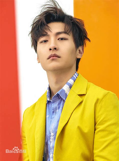 Wang Qing Wiki Drama Fandom