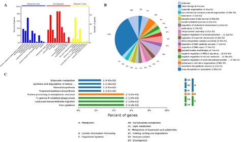 Bioinformatics Analysis Of Host Cell Proteins Putatively Identified As Download Scientific