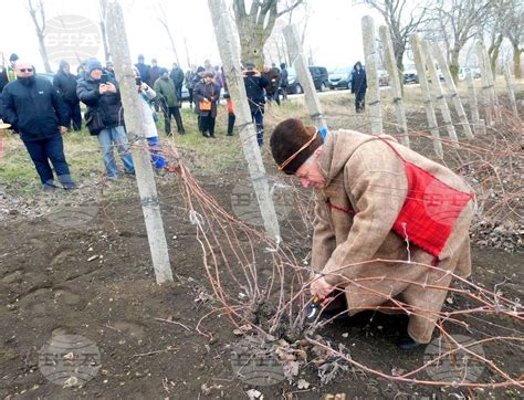 Рекорден брой червени и бели вина са представени тази година в конкурса за най добро домашно
