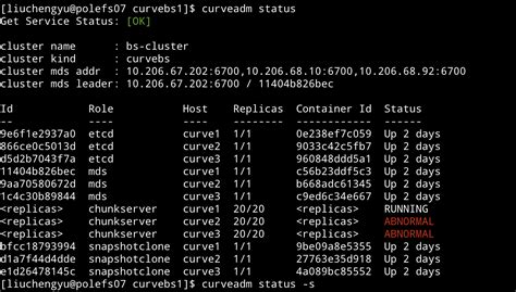[curvebs] chunkserver panic when execute performance test using fio with cbd ioengine · issue
