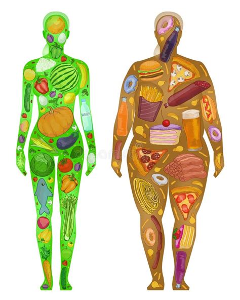 Dikke En Dunne Vrouw Vector Illustratie Illustratie Bestaande Uit Bulimia 36414885