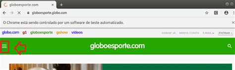 Testes Automatizados Usando Python Selenium E Bdd