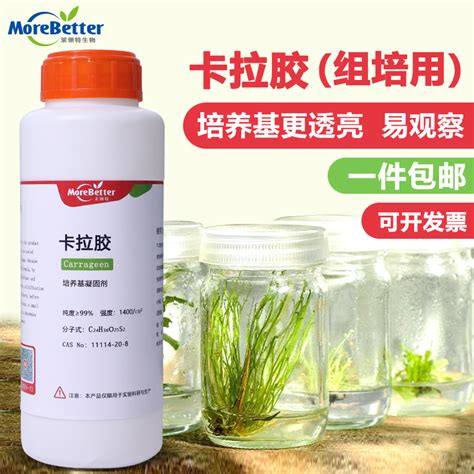 化学试剂尿苷尿嘧啶核苷分析标准品 99 500g 瓶含票价 虎窝淘