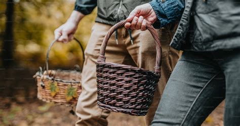숲에서 바구니를 들고 있는 남자와 여자 사진 Unsplash의 자연 이미지