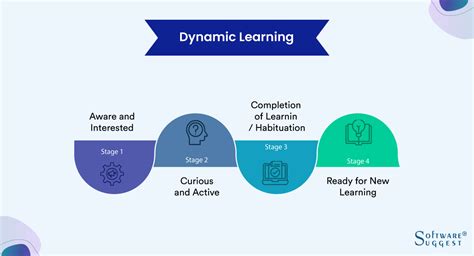 What Is Experiential Learning And Why Is It Important In 2024