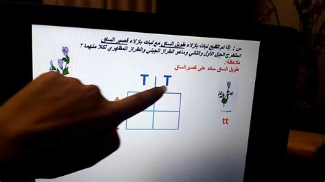 شرح درس مربع بانيت علوم ثامن Youtube