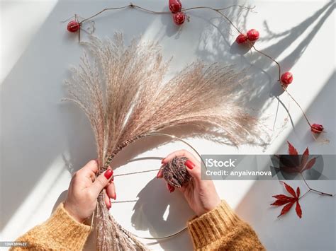 마른 팜파 잔디와 단풍에서 말린 꽃 화환을 만드는 손 잘 손질 된 손톱이달린 스웨터의 손은 금속 프레임에 장식을 묶습니다 흰색 테이블에 평평한 누워 긴 그림자와 햇빛 가위에