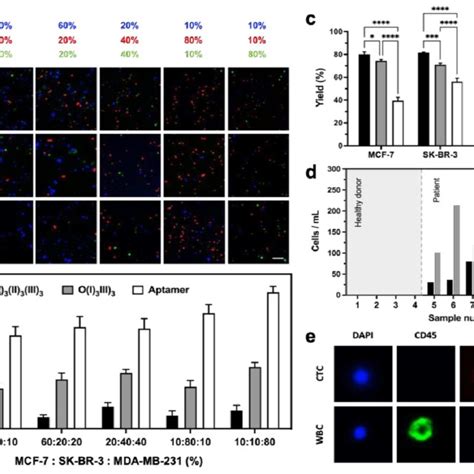 High Affinity Binding And Unbiased Capture Of Heterogeneous Ctcs With Dna Download Scientific