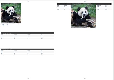 Pdfmake Absolute Positionning Not Working After Pagebreak · Issue