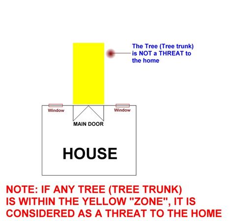 Is A Tree In Front Of My House A Problem Can I Do Anything Help General Help FengShui