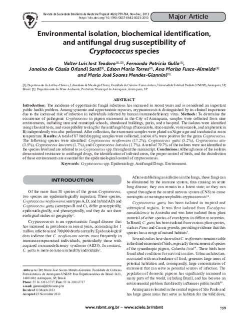 Pdf Cryptococcus Spp Identification And Susceptibility To Antifungals In Isolated In