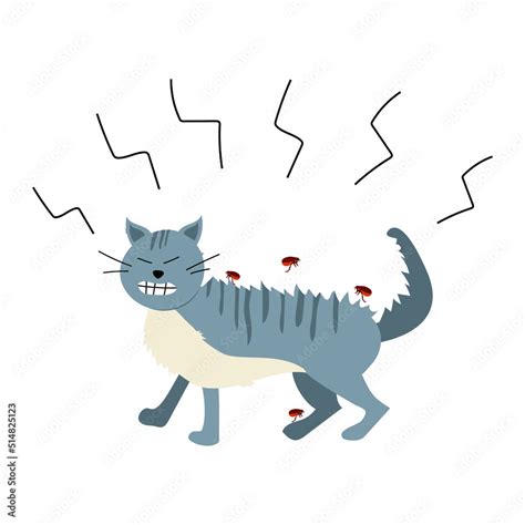 Vector Illustration Of A Cat Being Attacked By Fleas The Cat Itches
