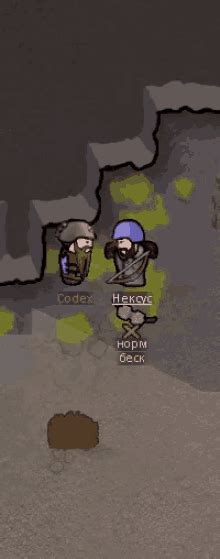 Codex Pfp Codex Profile Pics