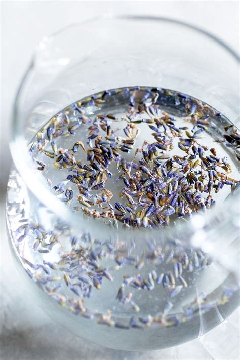How To Make Lavender Tea Properly Hot Iced Oh How Civilized