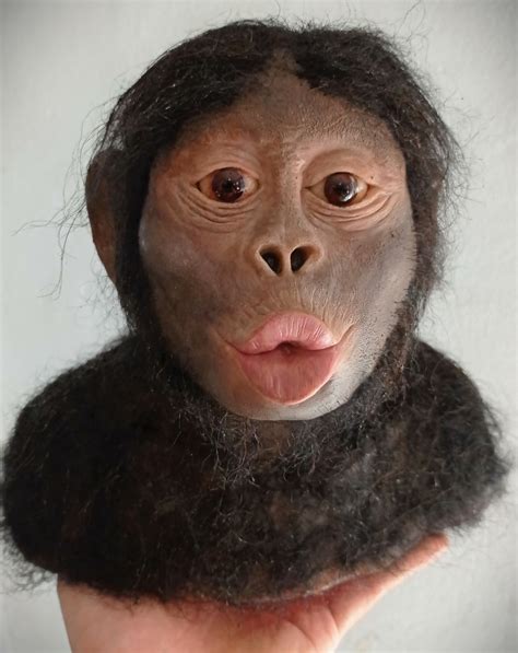 Paleoarte De Australopithecus Africanus Salvatore Paleoart