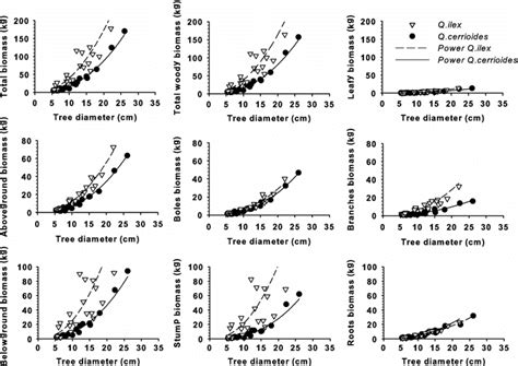 Allometric Relationships Of Total Biomass Total Woody Biomass Leafy Download Scientific