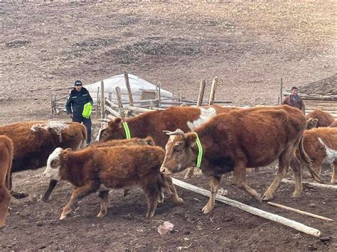 ГЭМТ ХЭРЭГ ЗӨРЧЛӨӨС УРЬДЧИЛАН СЭРГИЙЛЭХЭД ИРГЭН БҮРИЙН ОРОЛЦОО ЧУХАЛ