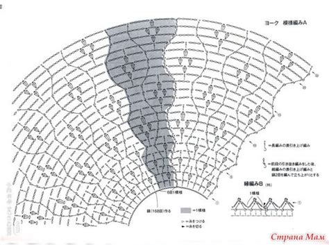 Блуза с круглой кокеткой красивым узором в 2024 г Узоры Вязание крючком Вязание