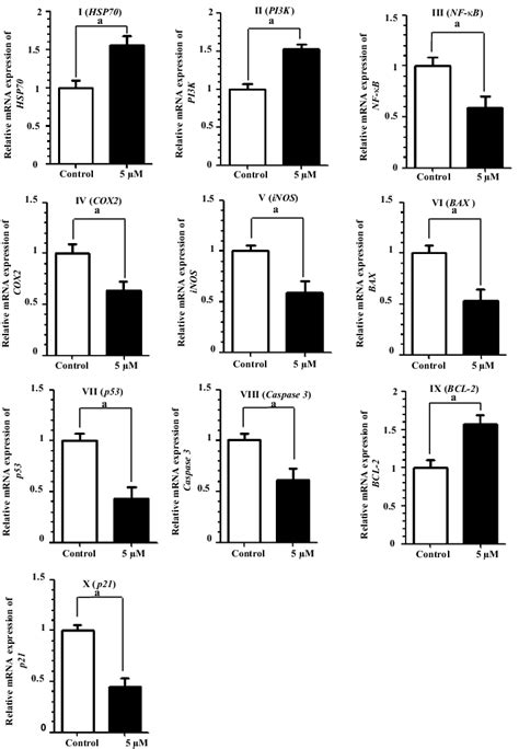 Relative Mrna Expression Profile Of Various Genes I X In Control And Download Scientific