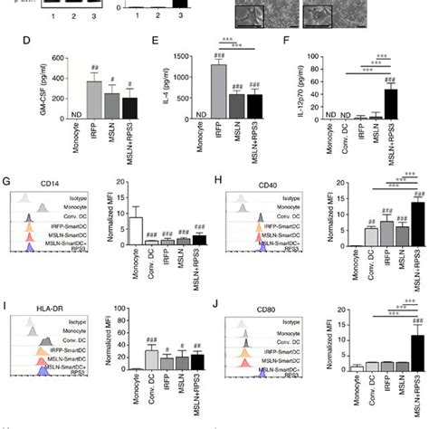 The Lentiviral Vector Schematic Maps And Immunophenotype Of
