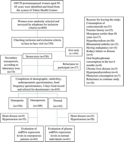 Flowchart Of The Study Population Selection Download Scientific