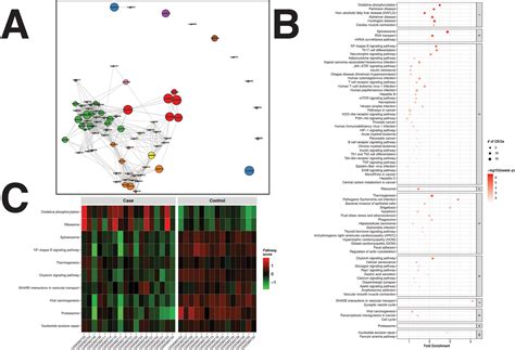 Frontiers Pathfindr An R Package For Comprehensive Identification Of