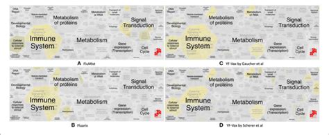 Reactome Pathway Enrichment Analysis Highlighting Significant Download Scientific Diagram