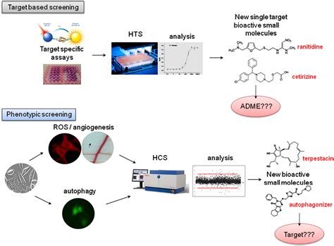 Figure 1 From Identification And Validation Of Bioactive Small Molecule Target Through