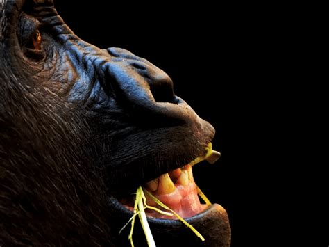 Multiple Search Result Designs Themes Templates And Downloadable