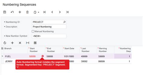 auto numbering format violates the segment format segmented key