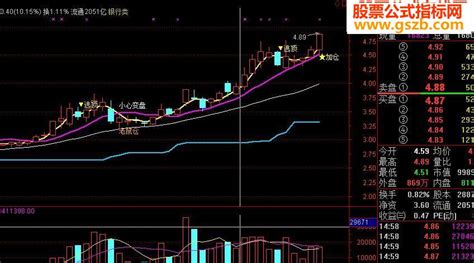 老鼠仓主图 公式指标网