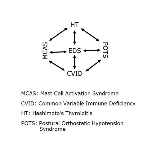 Ehlers Danlos Syndrome Pots Mcas At Beverly Marone Blog