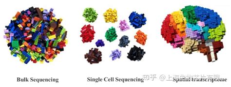 空间转录组技术小百科（一） 知乎