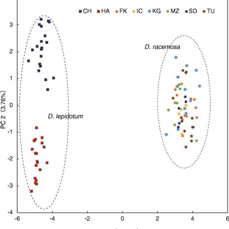 Demographic Models Used To Infer Past Population Structure Using Download Scientific Diagram