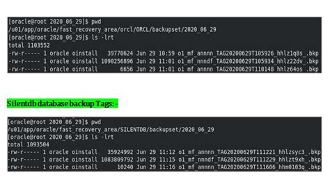 Recovery Catalog Database Using Rman Ktexperts